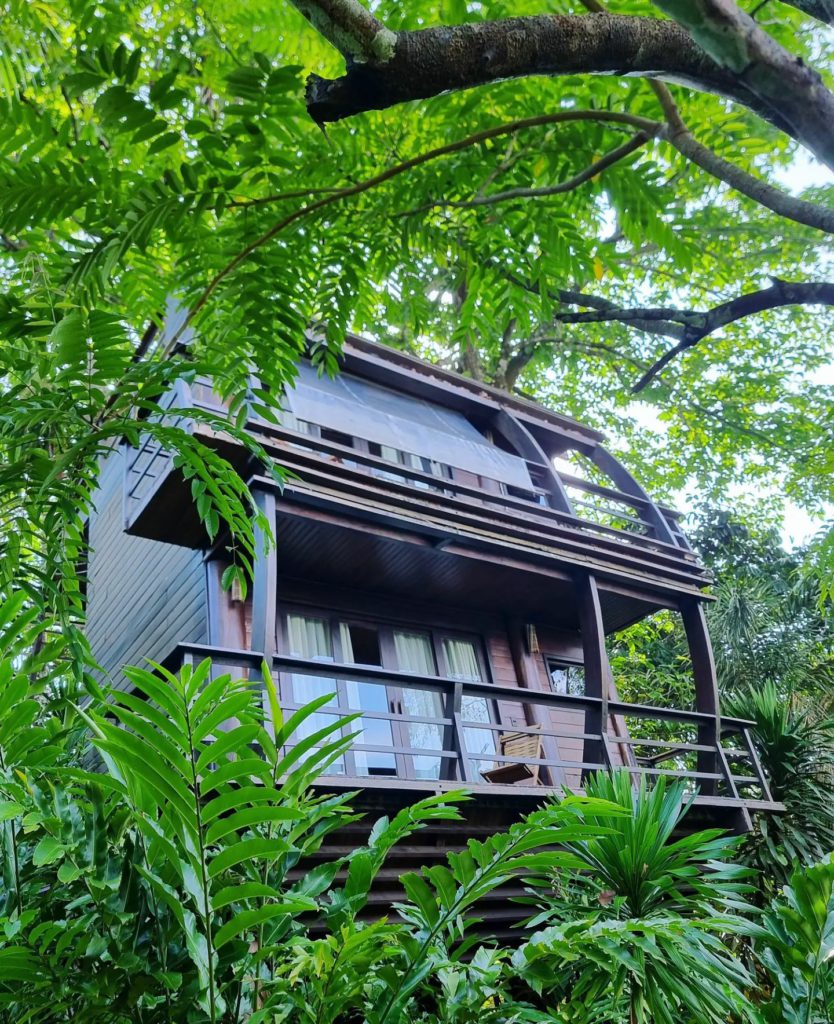 Luxury Amazon Lodge Brazil - PlanetaEXO