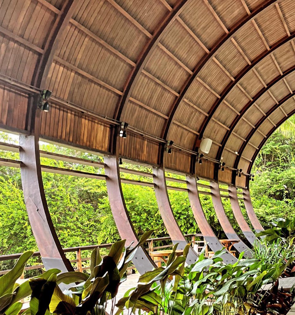 Luxury Amazon Lodge Brazil - PlanetaEXO