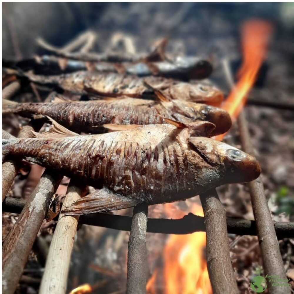 Tour de sobrevivência na amazônia 4 dias - PlanetaEXO