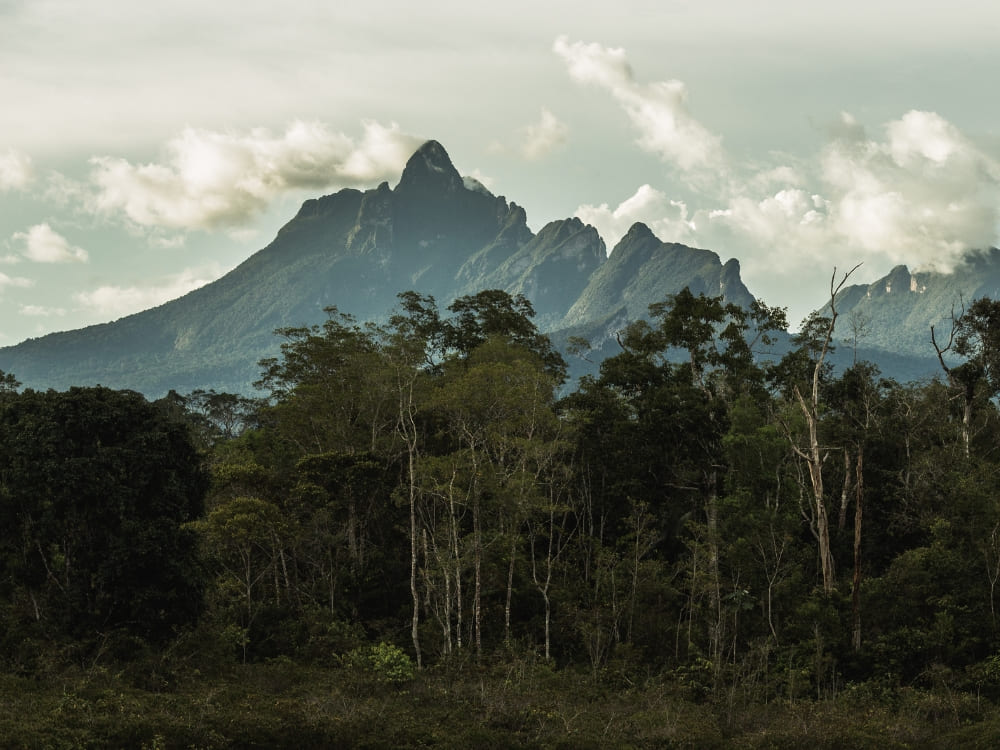 Pico da Neblina National Park Expedition - PlanetaEXO