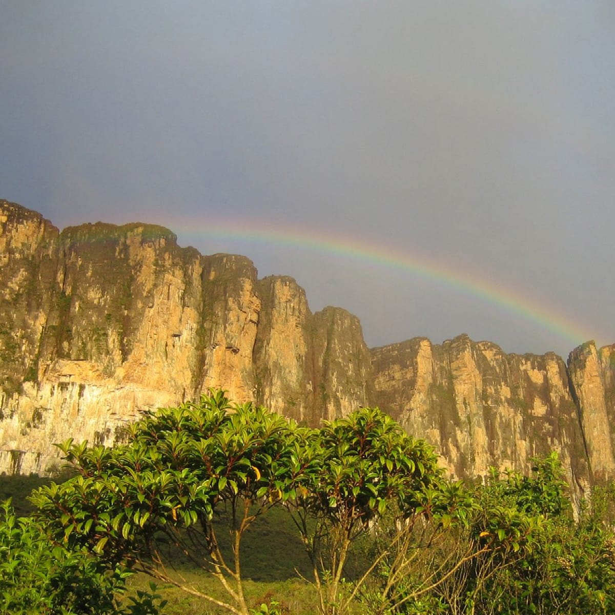 How much does it cost to climb Mount Roraima? - PlanetaEXO