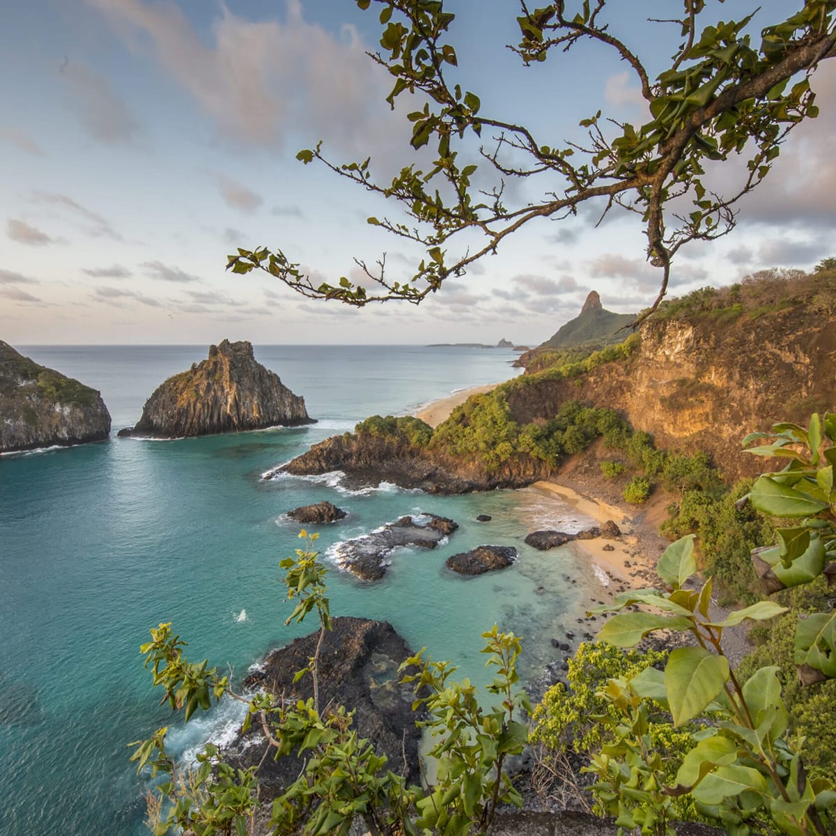 Plongée à Fernando de Noronha : le guide ultime de 2026 - PlanetaEXO