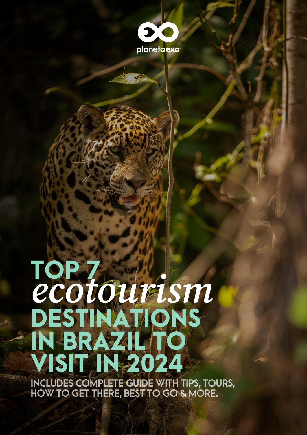 Download eBook Top 7 Ecotourism Destinations in Brazil - PlanetaEXO