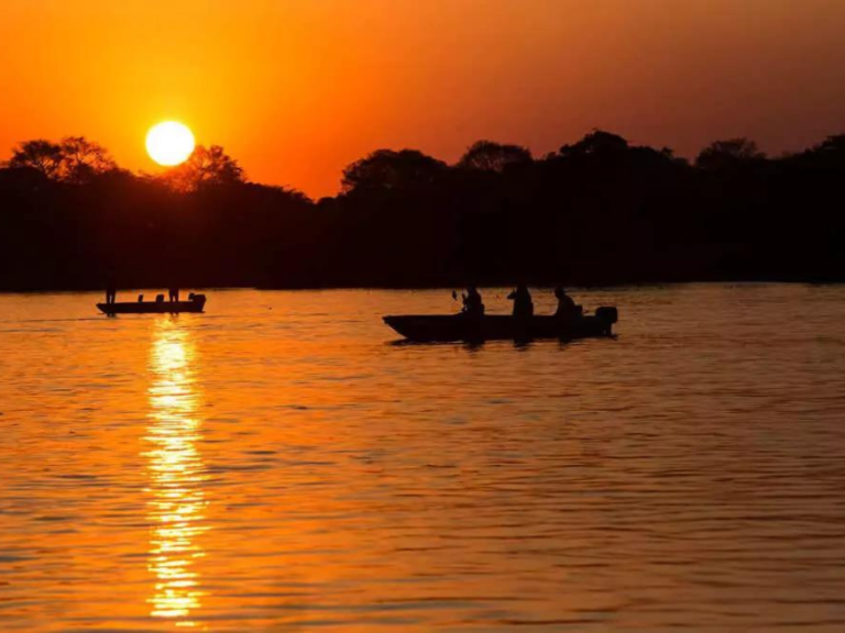 Pantanal Brazil Travel Guide - PlanetaEXO