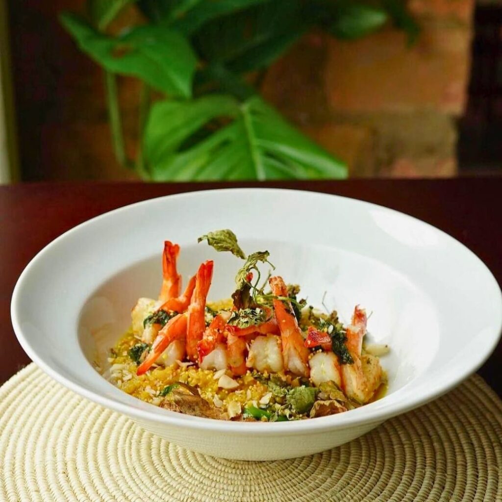 Manaus Travel Guide: What to Do, Where to Stay and Eat - PlanetaEXO