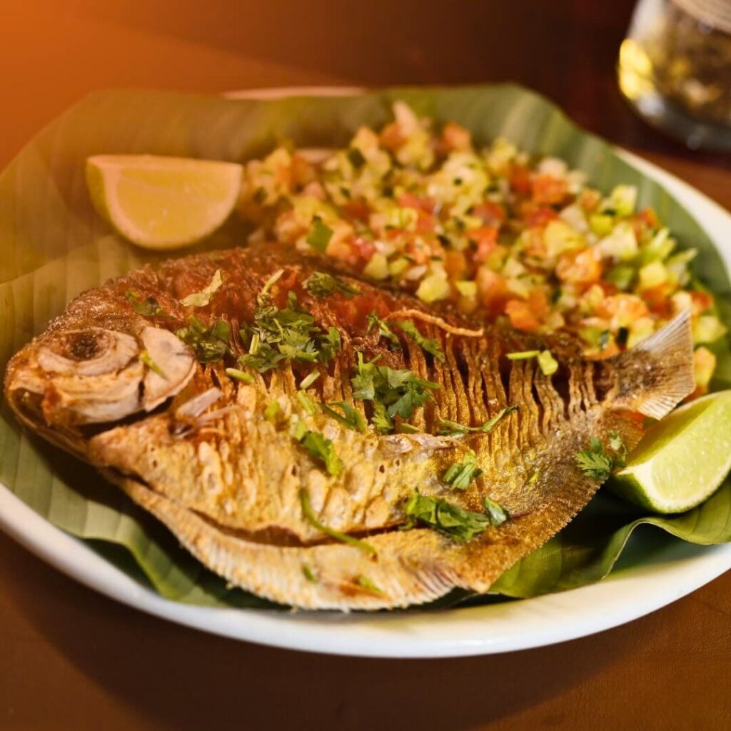 Manaus Travel Guide: What to Do, Where to Stay and Eat - PlanetaEXO