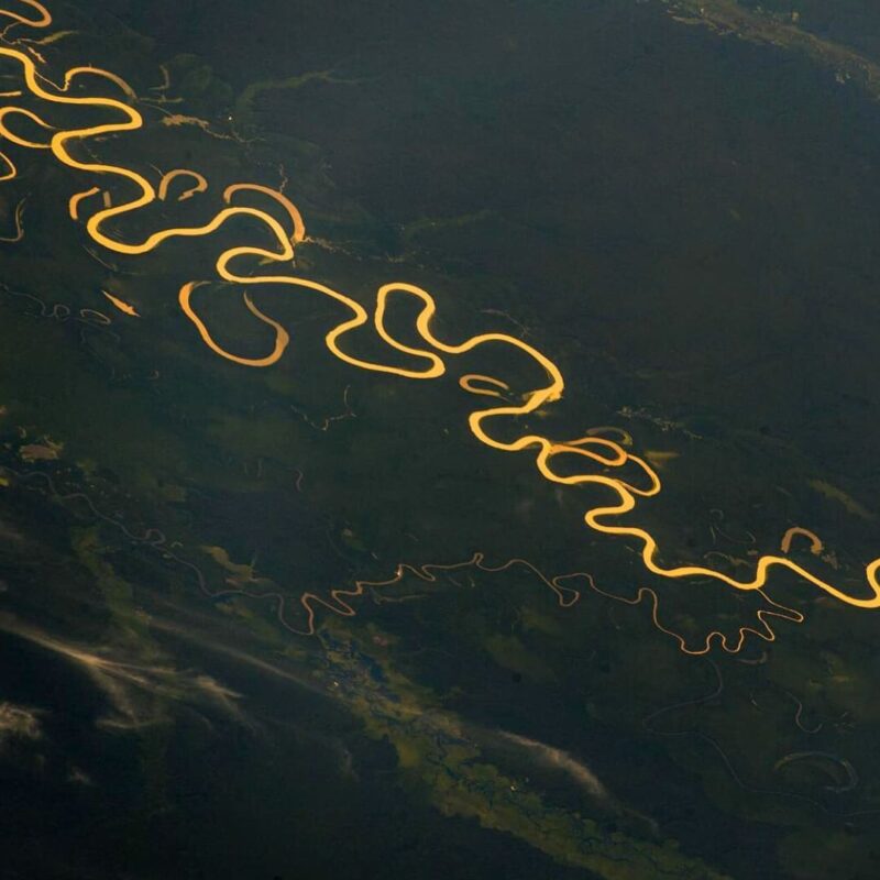 15 Facts about the Amazon Rainforest in Brazil - PlanetaEXO