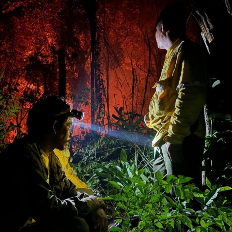 8 conservation projects in the Amazon to support in 2025 - PlanetaEXO