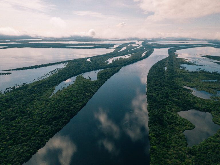 8 conservation projects in the Amazon to support in 2025 - PlanetaEXO