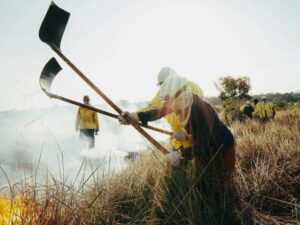 8 conservation projects in the Amazon to support in 2025 - PlanetaEXO