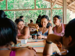 8 conservation projects in the Amazon to support in 2025 - PlanetaEXO