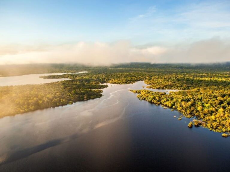 Jaú National Park: In the heart of Amazon - PlanetaEXO
